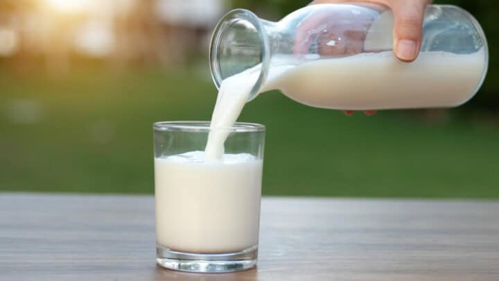 Best Milk for Smoothies (Comprehensive Guide) - Audreythena Food Goddess
