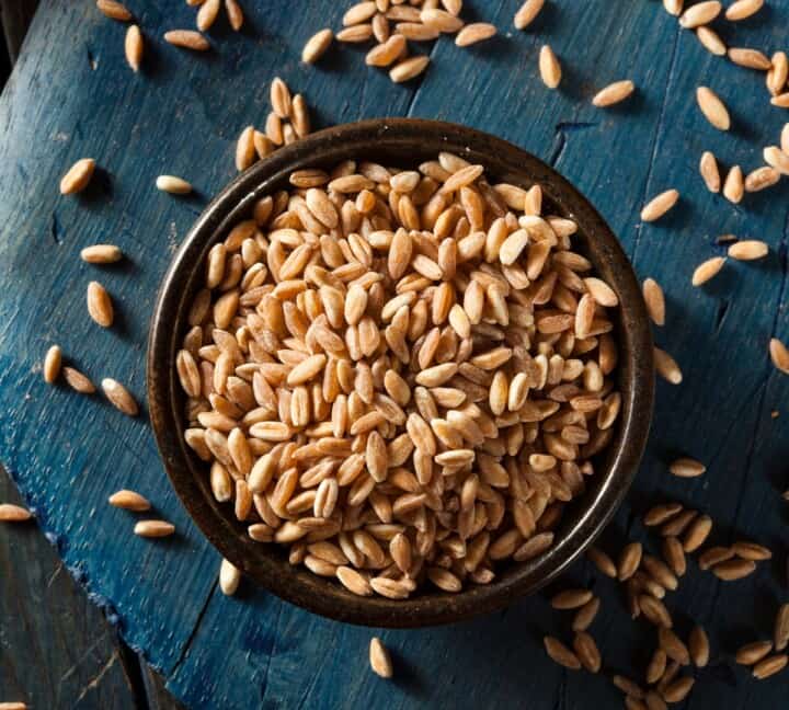 Substitute for Barley - Audreythena Food Goddess